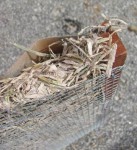 Straw/clay Roof Insulation – Natural Building Blog