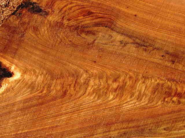 Low Cost Wood for DIY Homebuilders – Natural Building Blog