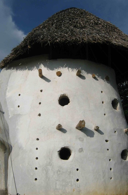 majestic dome tower – Natural Building Blog