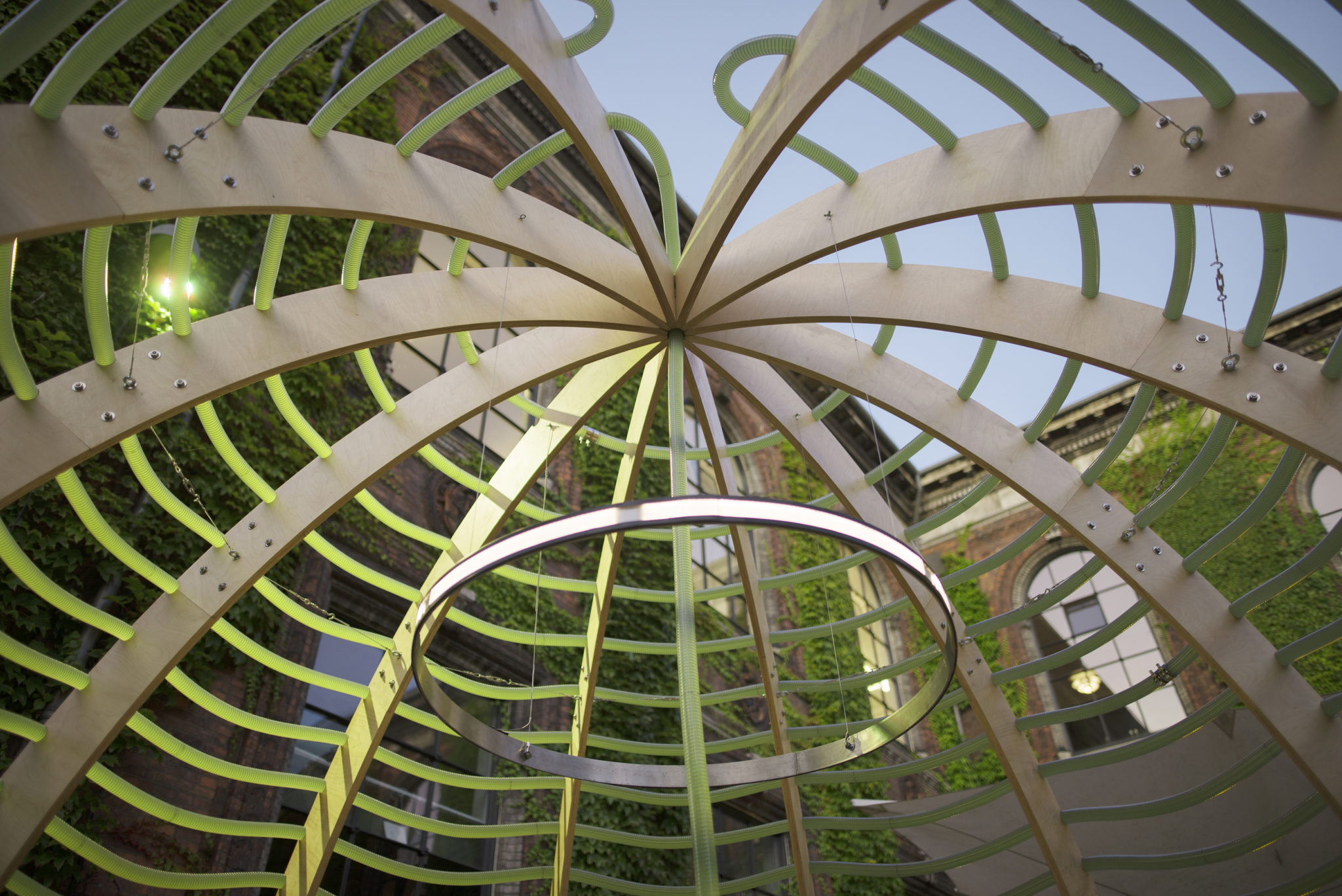 Algae as a Sustainable Fuel and Food Source – Natural Building Blog