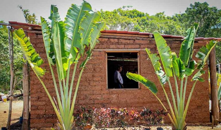 Mexican Entrepreneur Makes Homes Out of Seaweed – Natural Building Blog