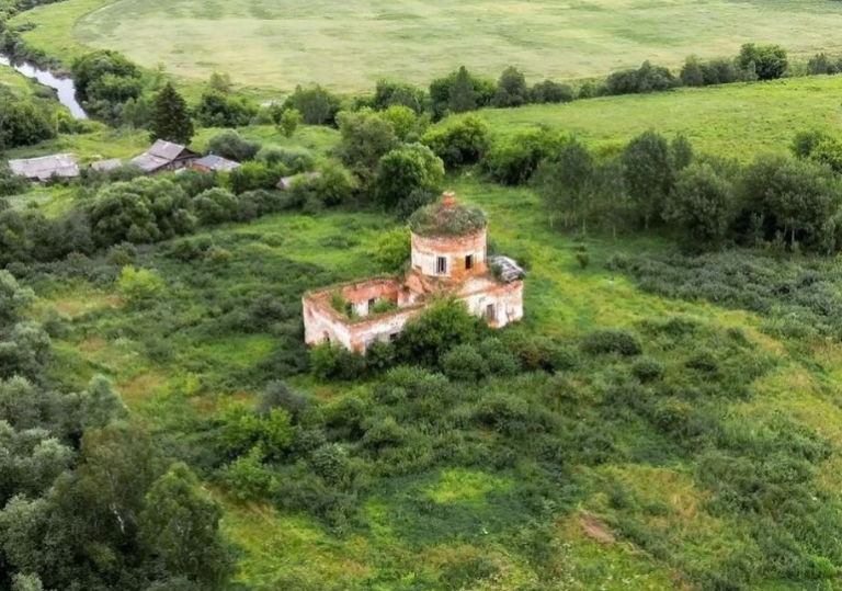 Nature Taking Over Buildings – Natural Building Blog