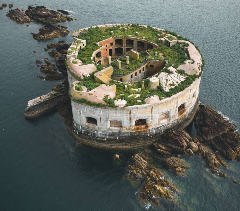 Nature Taking Over Buildings – Natural Building Blog