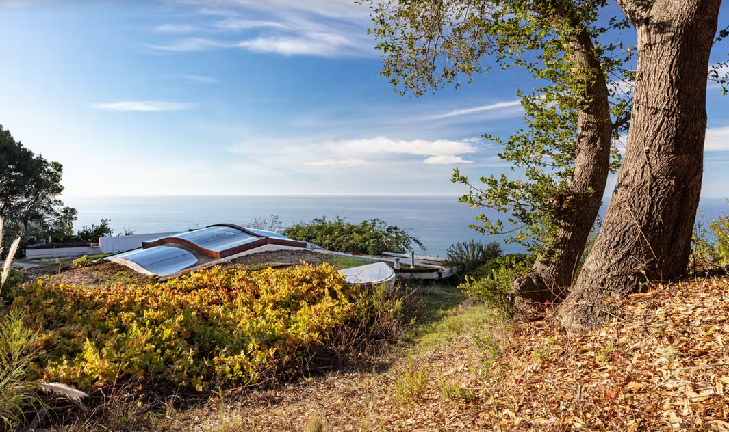 The Organic Architecture of Mickey Muennig – Natural Building Blog