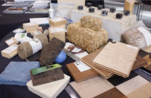 Build Beyond Zero – Natural Building Blog