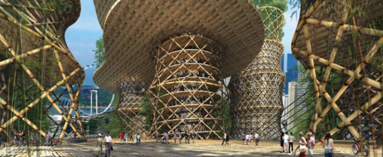 Looking Toward the Future of Bamboo in Asia – Natural Building Blog