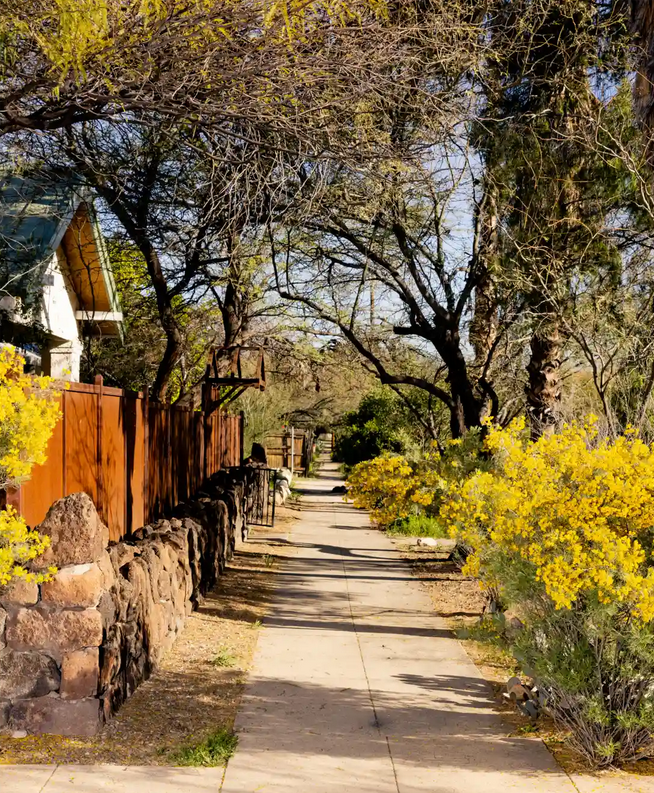 A Food Forest Transforms Dunbar Springs, Arizona – Natural Building Blog