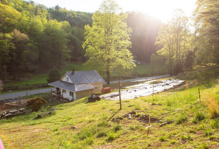 Modern Homesteading – Natural Building Blog