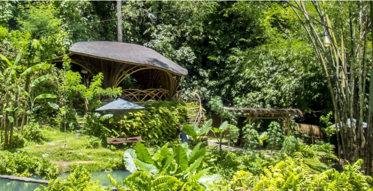 A Guide to Starting Your Own Bamboo Building Project – Natural Building ...