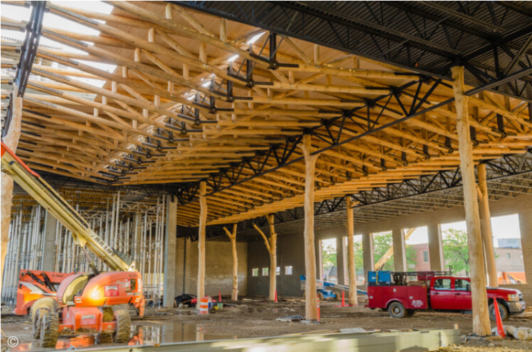 Using Natural Tree Forms in Buildings – Natural Building Blog