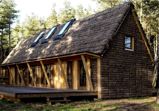 Historical and Modern Use of Seaweed for Building – Natural Building Blog