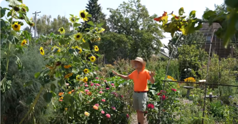 Kailash Ecovillage in Portland, Oregon – Natural Building Blog