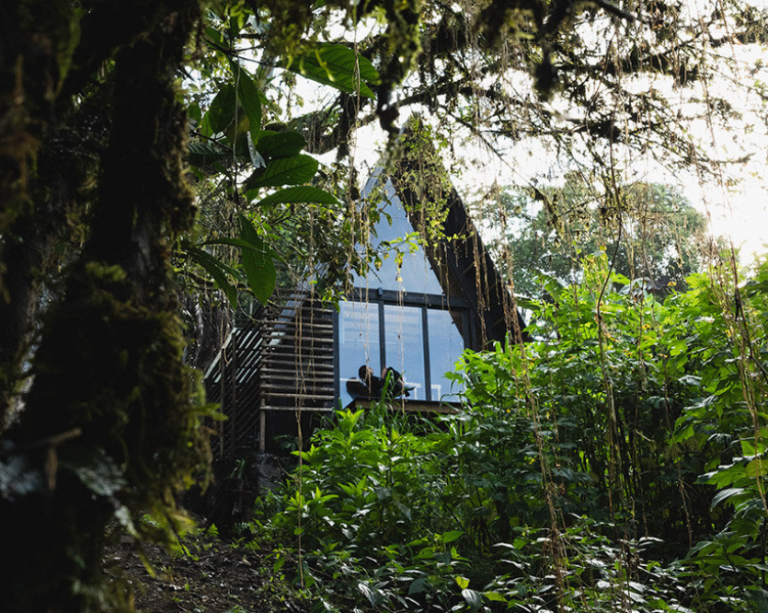 A Tiny Cabin in Ecuador’s lush Andean Forest – Natural Building Blog