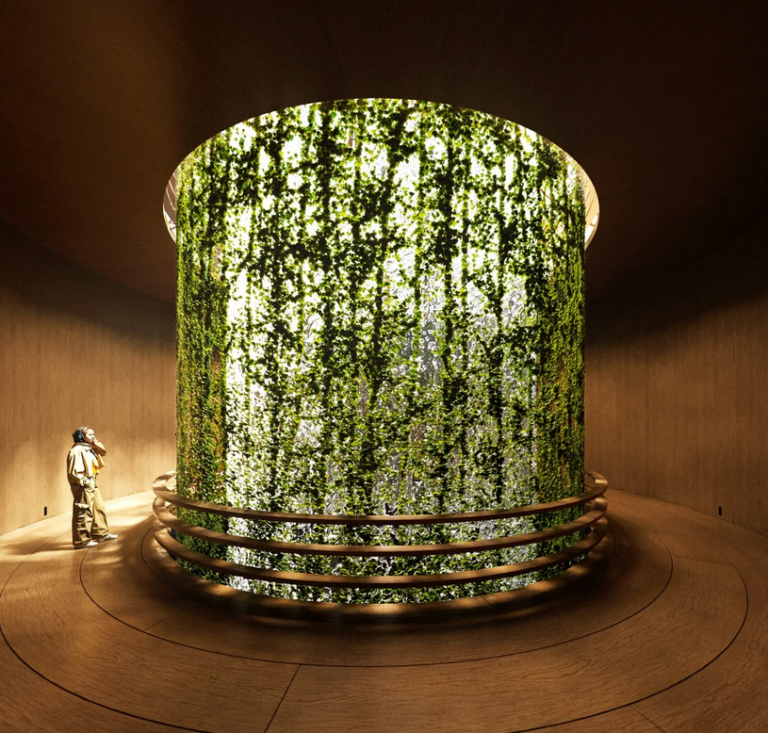 The Amazon Immersion Pavilion – Natural Building Blog