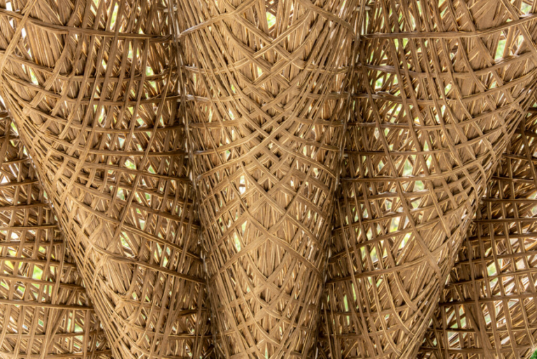 Designing a Regenerative World with Flax – Natural Building Blog