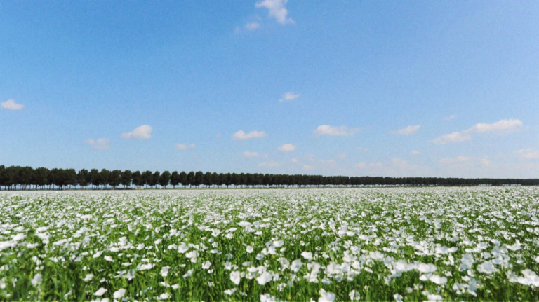 Designing a Regenerative World with Flax – Natural Building Blog
