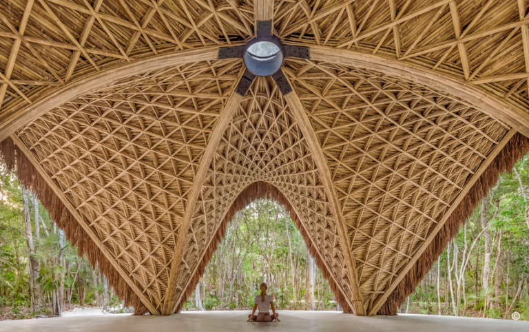 The Amazing Potential of Bamboo – Natural Building Blog