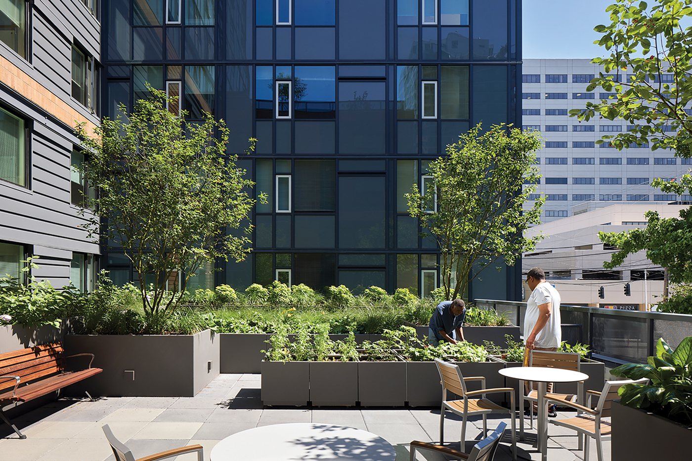Designing Affordable and Healthy Housing – Natural Building Blog