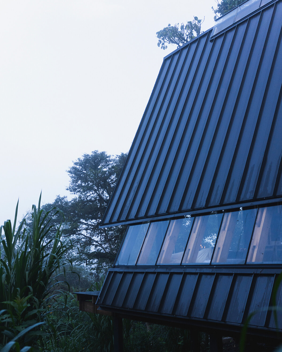 A Tiny Cabin in Ecuador’s lush Andean Forest – Natural Building Blog