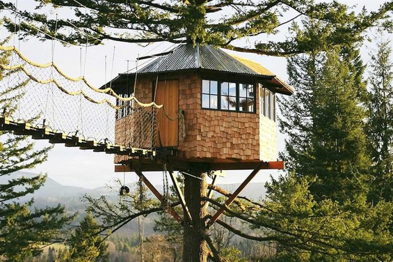 Some More Fun Tree Houses – Natural Building Blog