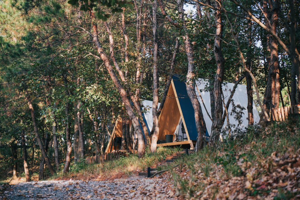 Wiki World Natural Camp in China – Natural Building Blog