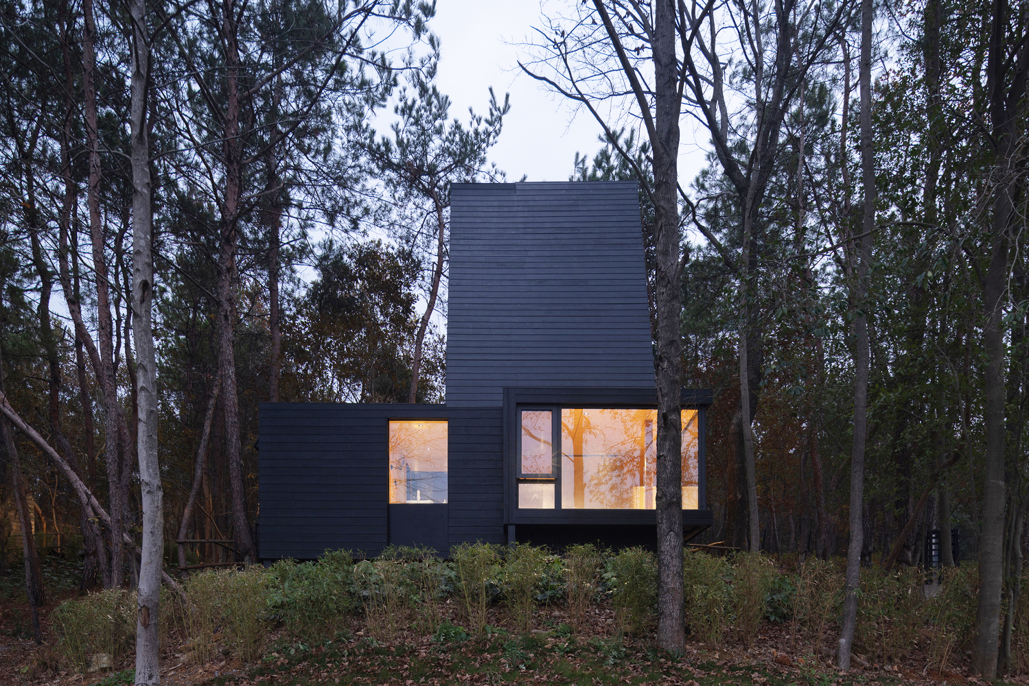 Wiki World Natural Camp in China – Natural Building Blog