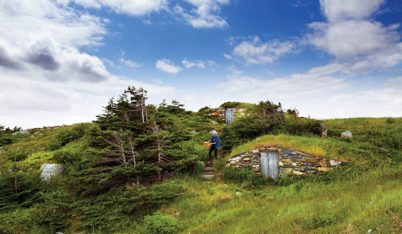 The Root Cellar Capital of the World – Natural Building Blog