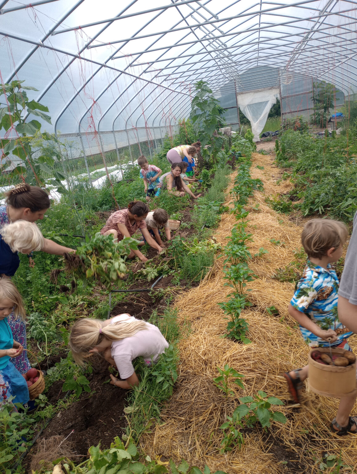 SolFed Farms is Dedicated to Sustainable Living – Natural Building Blog